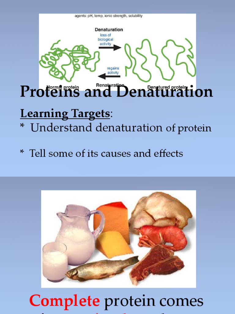 Proteins and Denaturation POWER POINT | PDF | Denaturation (Biochemistry) | Structural Biology