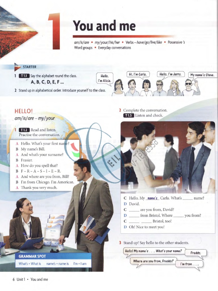 Niveau 01 - Anglais - Cours - Unite 01 | PDF | Syntax | Morphology