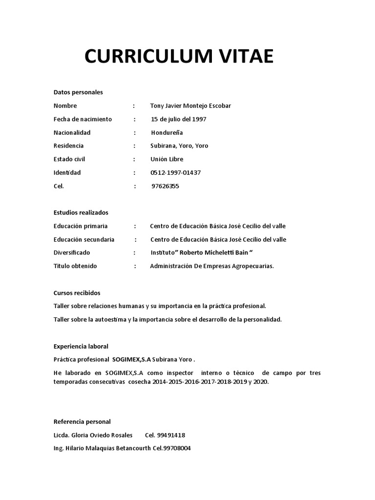 Curriculum Vitae Tony | PDF