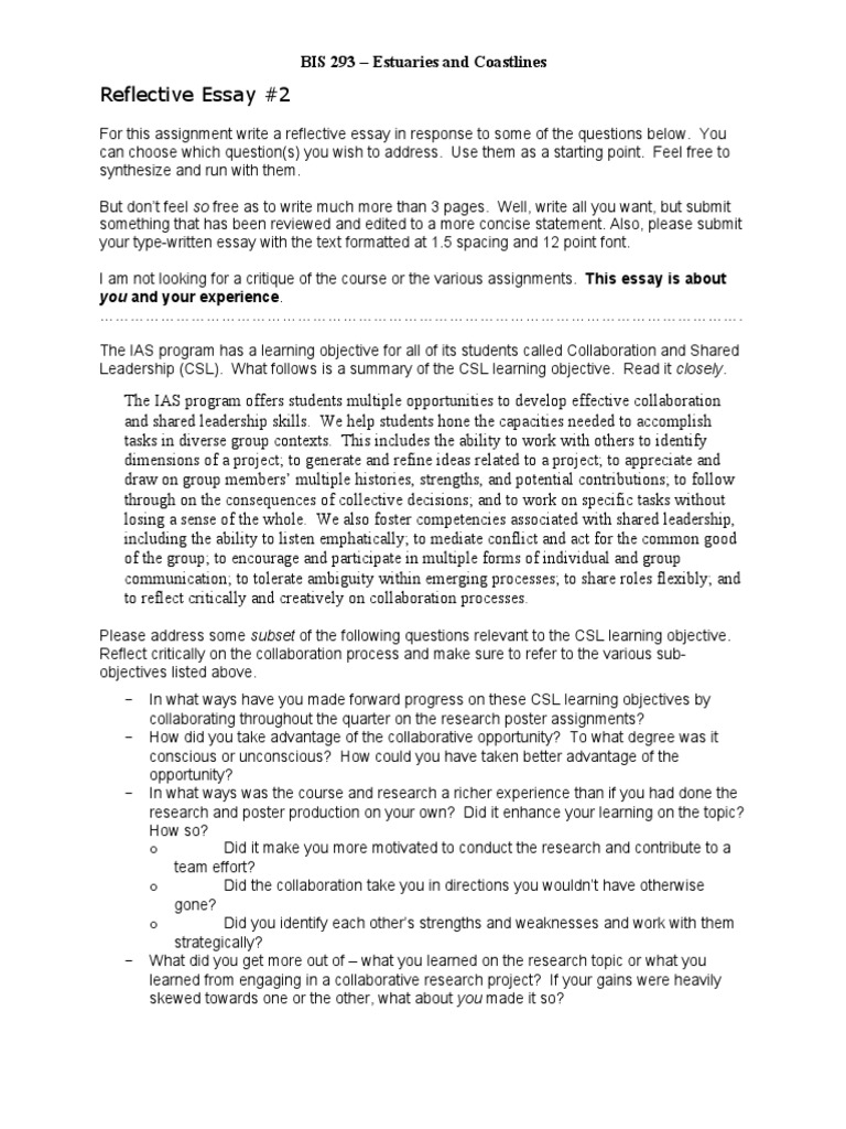 Microsoft Word Reflective Essay Template | PDF | Essays | Leadership