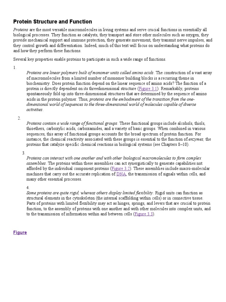 Understanding Protein Structure And Function Pdf Protein Structure