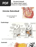 2 Obstruccion Intestinal Por Bridas y Adherencias | PDF | Medicina ...