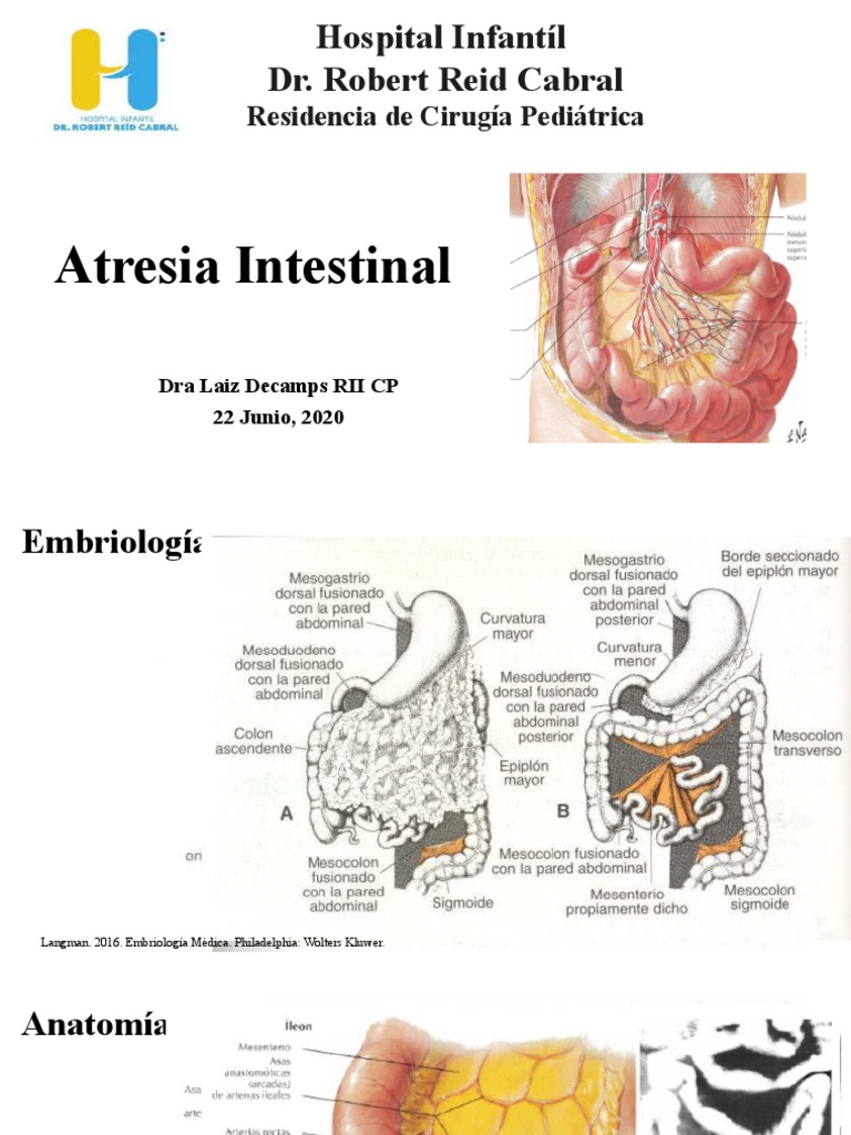 Atresia Intestinal | PDF | Especialidades Medicas | Gastroenterología