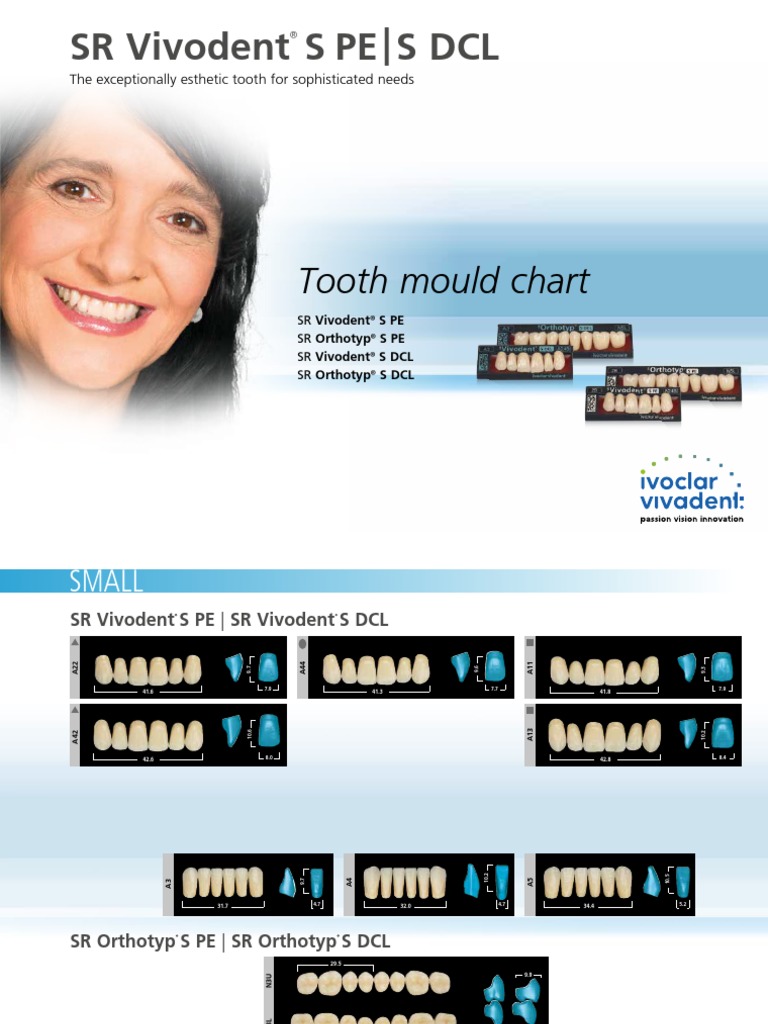 SR Vivodent S Pe - S DCL: Tooth Mould Chart | PDF | Dentures | Tooth