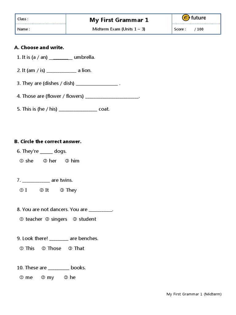 My First Grammar 1 Midterm and Final | PDF