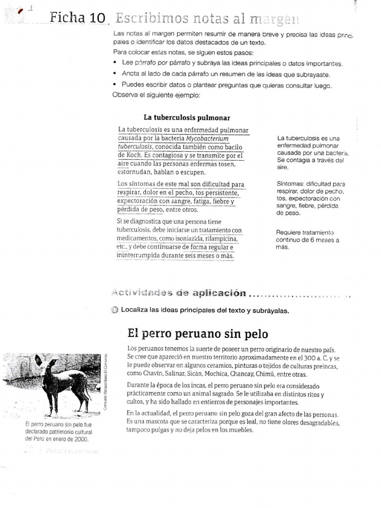 Escribimos Notas Al Margen | PDF