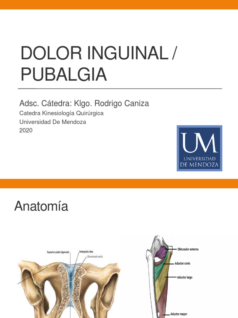 Pubalgia: Diagnóstico y Tratamiento | PDF | Músculo | Lesión