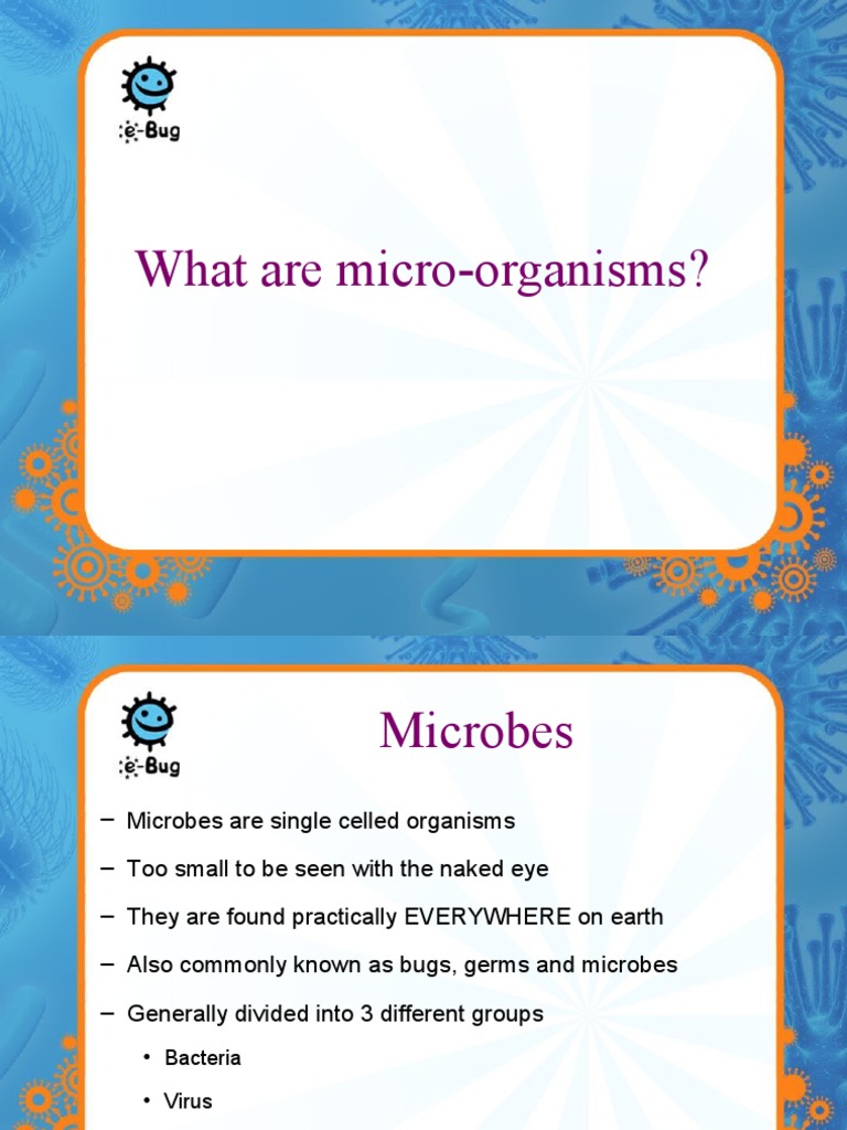 Introduction To Microbes | PDF | Bacteria | Virus