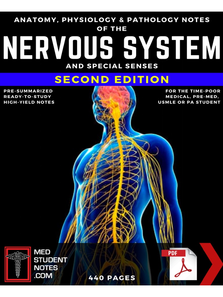 Nervous System and Special Senses | Neurotransmitter | Central Nervous ...