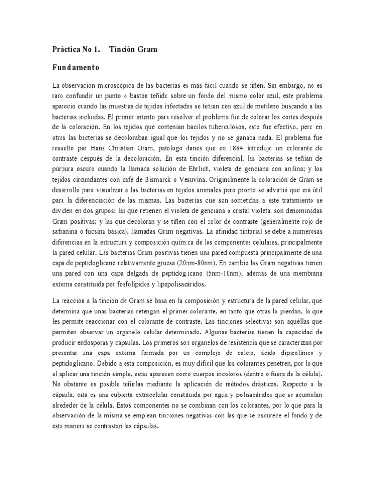 Tinción de Gram: Procedimiento y Resultados | PDF | Tinción | Bacterias ...