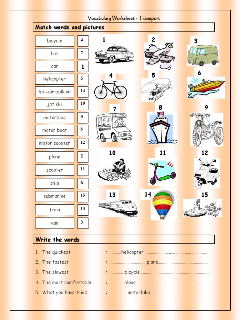 Vocabulary Worksheet: Transport Terms | PDF