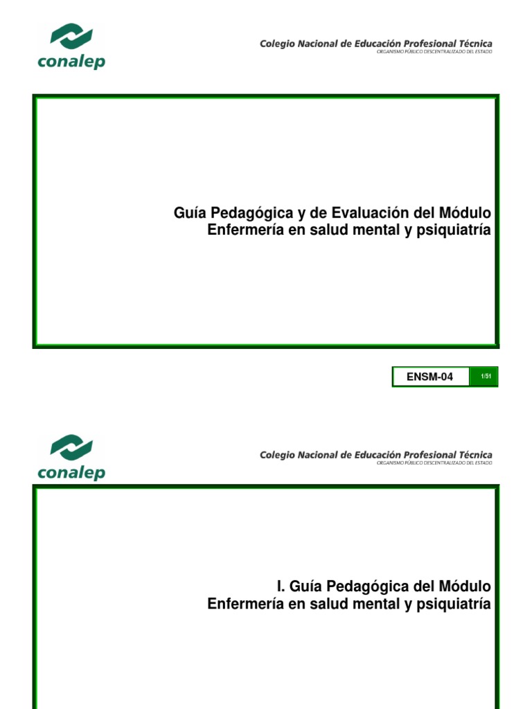 ENFE08 - EnfermEnSaludMentalyPsiquiat 04 Guia | PDF | Salud mental | Aprendizaje