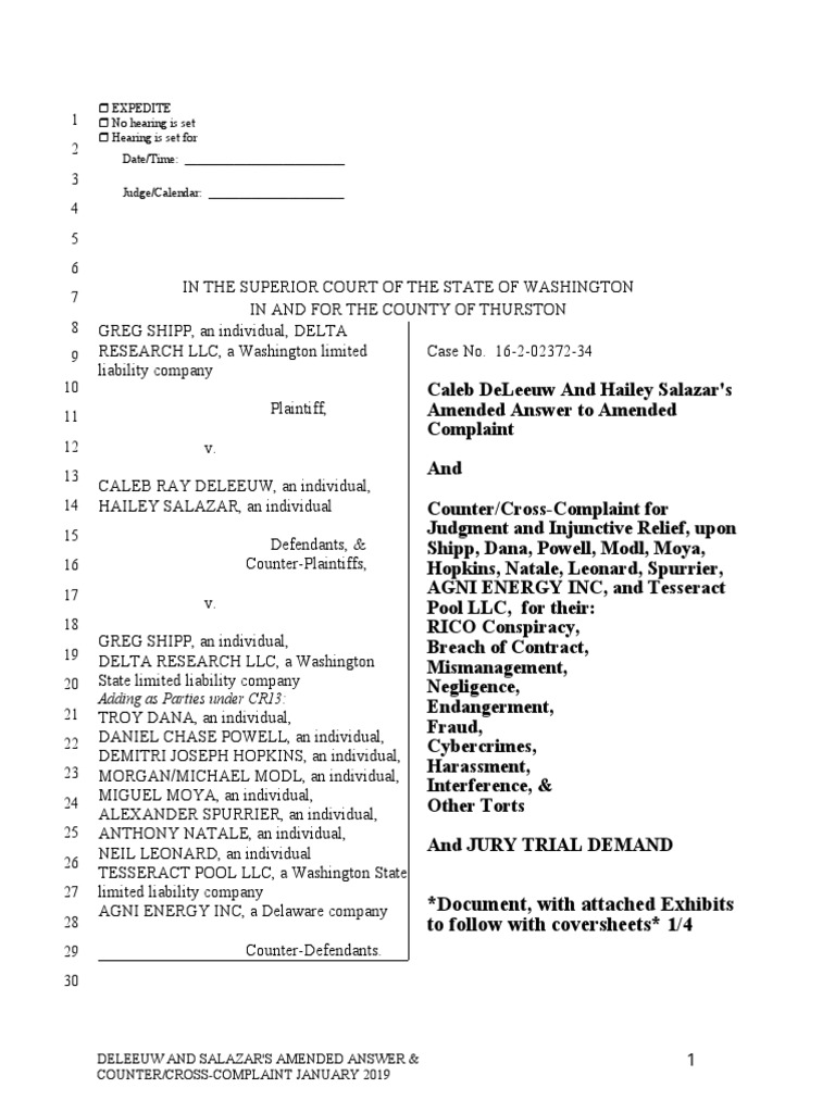 AGNI Energy Inc IP Theft Conspiracy Lawsuit Amended Answer and Counter by DeLeeuw Document | PDF ...
