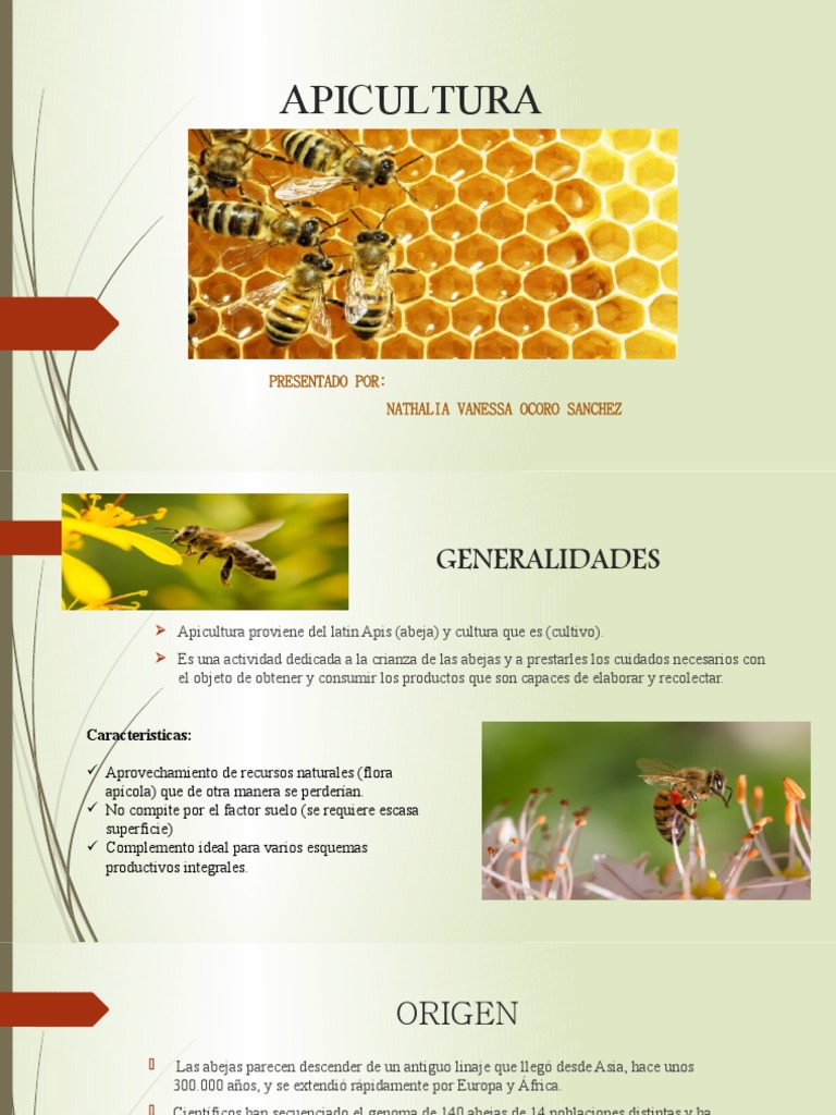 Apicultura. Abejas | PDF | Abejas | Colmena Apicultura. Abejas | PDF | Abejas | Colmena