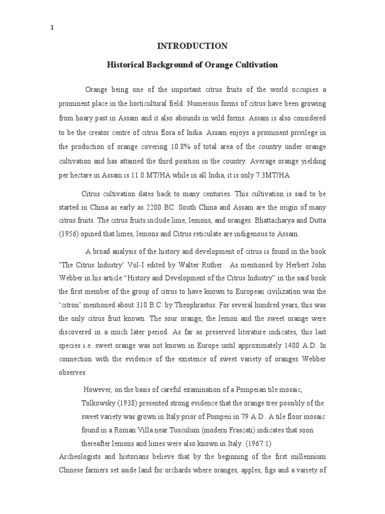 Historical Background of Orange Cultivation | PDF | Citrus | Orange (Fruit)