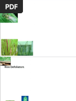 HSN Code & GST Rate For Dry Fruits & Fruits | PDF | Nut (Fruit ...