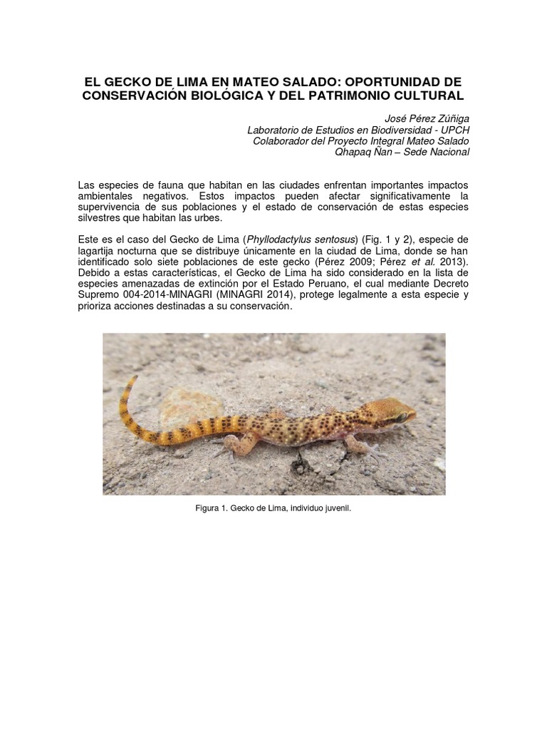 Gecko de Lima en Mateo Salado - Oportunidad Conservación PDF | PDF ...