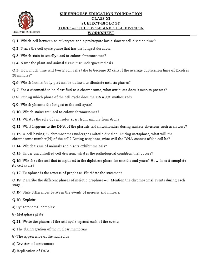 Cell Division Worksheet for Biology XI | PDF