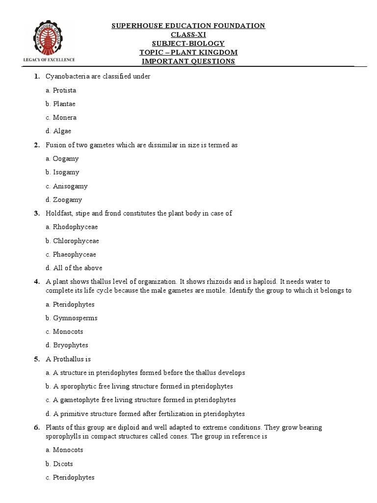 Important Questions on Plant Kingdom | PDF | Plants | Ploidy