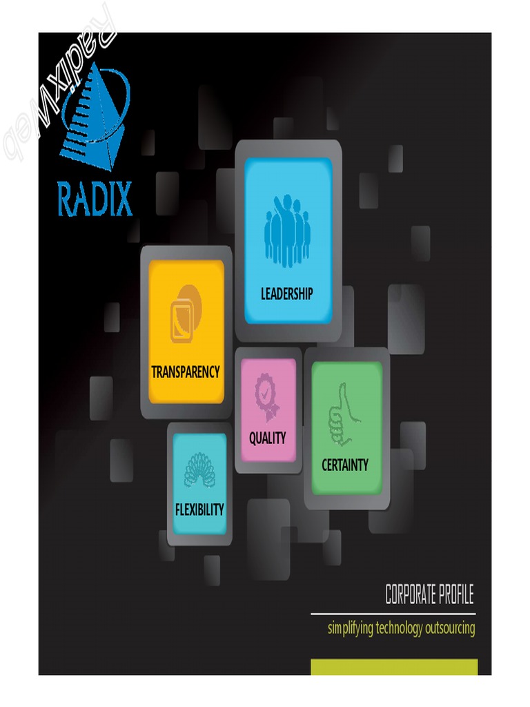 RadixWeb Corporate Profile | PDF | Server (Computing) | Digital Technology