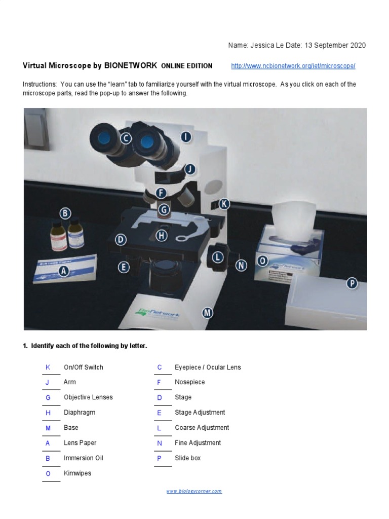 Jessica Le - Virtual Microscope Lab Worksheet | PDF