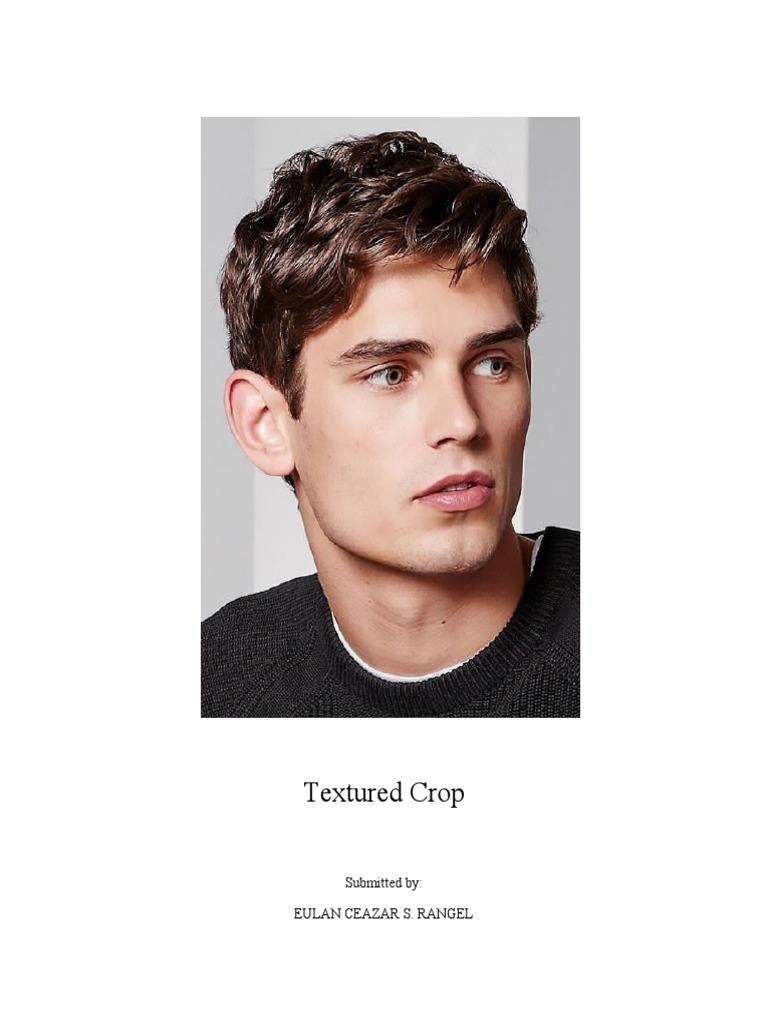 Textured Crop Hairstyle Guide | PDF