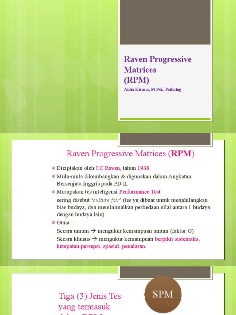 Raven Progressive Matrices (RPM) | PDF