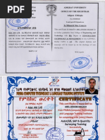 Ethiopian Driving License | PDF | Driver's License | Driving