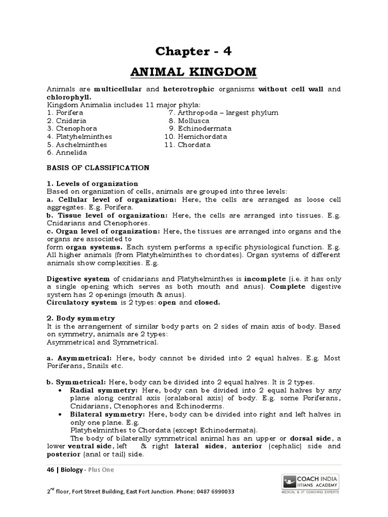 08 Chapter 4 Animal Kingdom | PDF | Zoology | Organisms