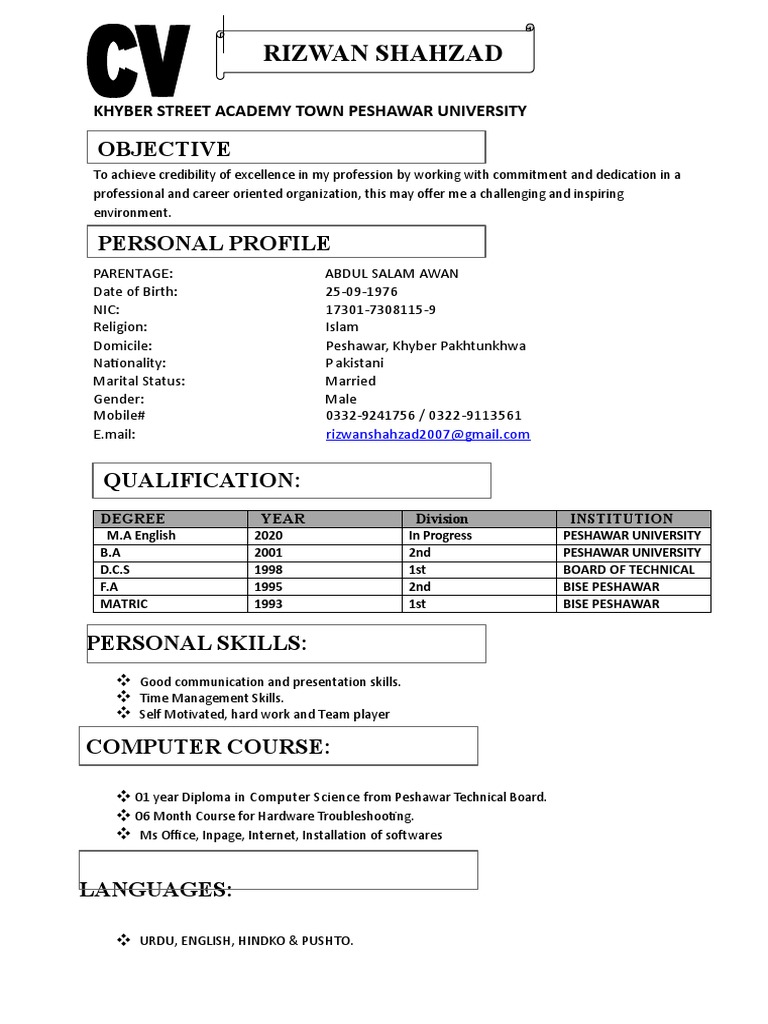 Rizwan CV 2020 | PDF | Computing | Software