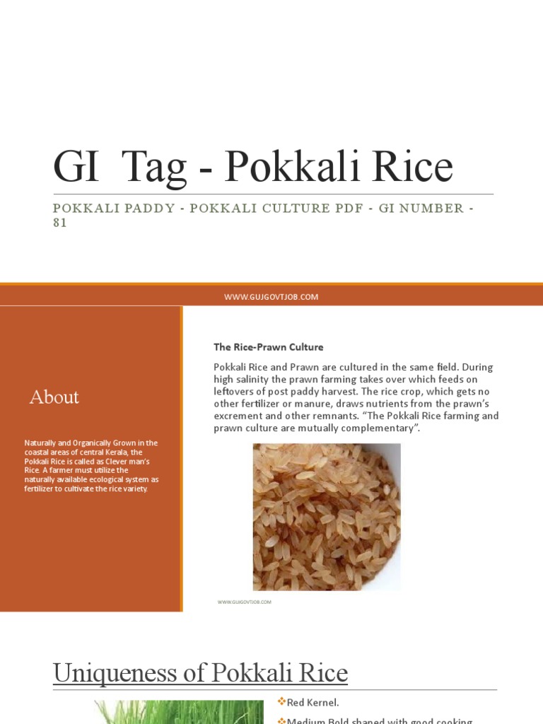 Pokkali Rice - Pokkali Paddy - Pokkali Culture PDF - GI Number 81 | PDF ...