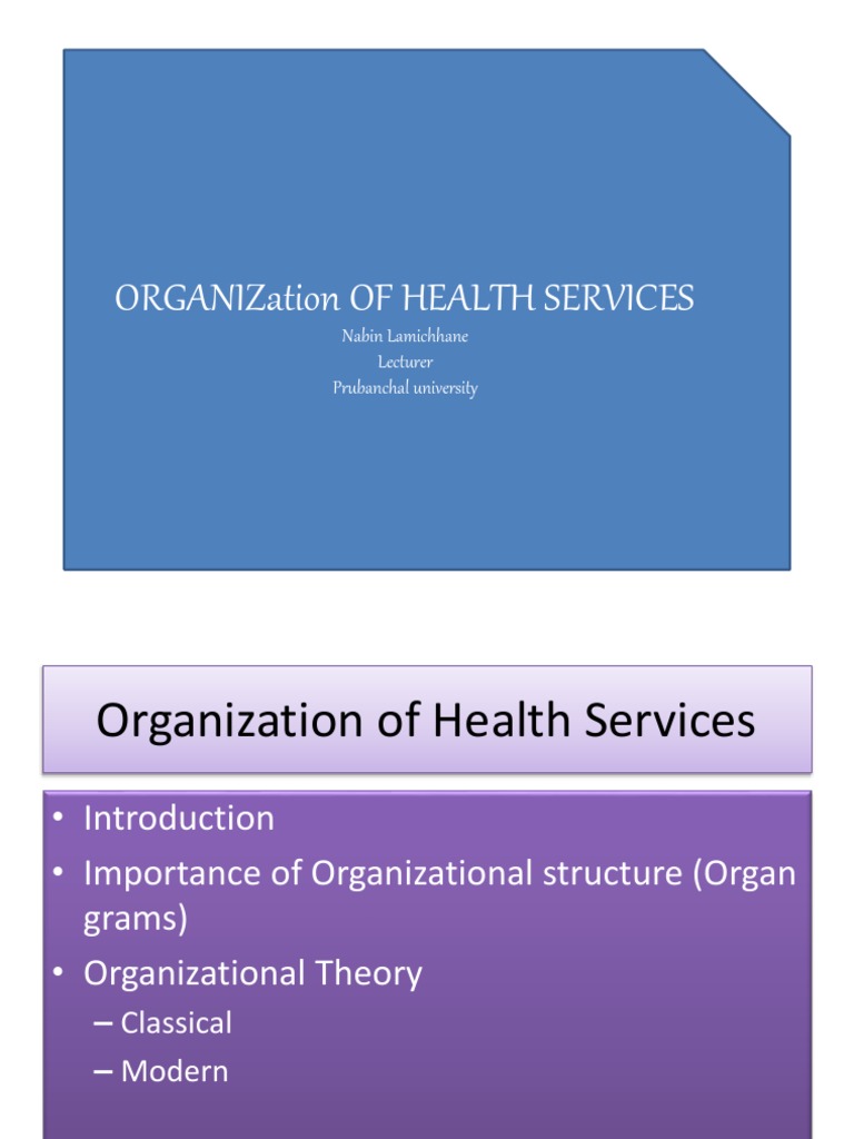 Health Services Organization Guide | PDF | Organizational Structure ...