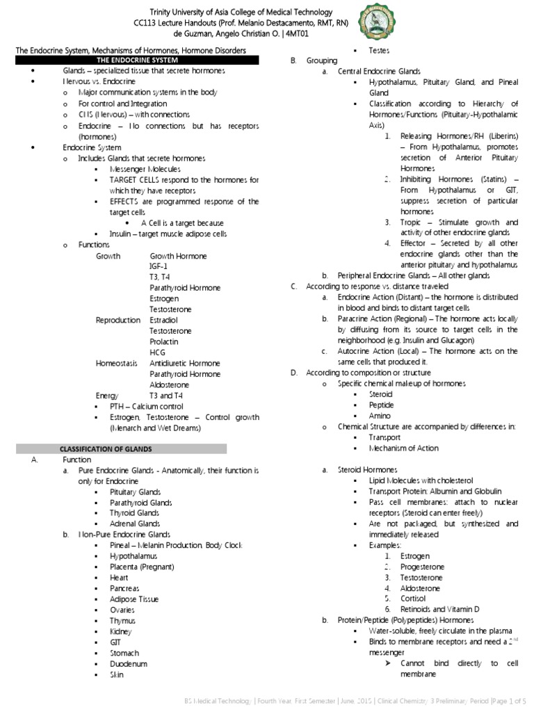 The Endocrine System: Classification of Glands | PDF | Endocrine System ...