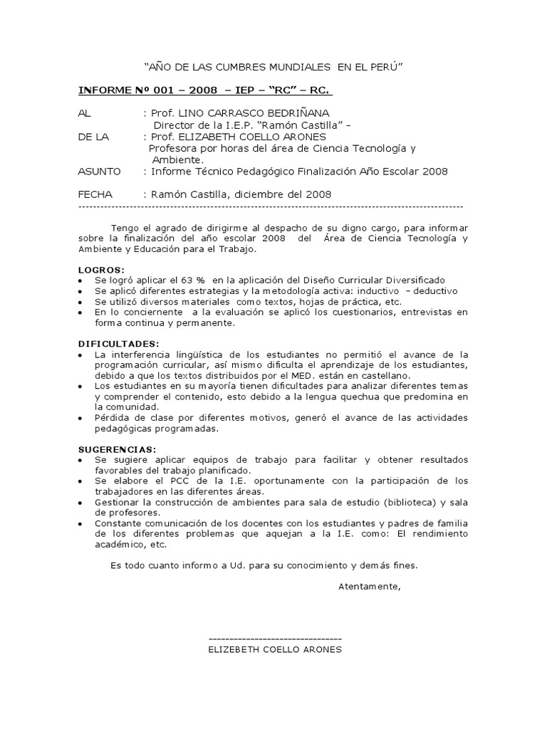 Informe Final de Año Escolar | PDF | Evaluación | Plan de estudios