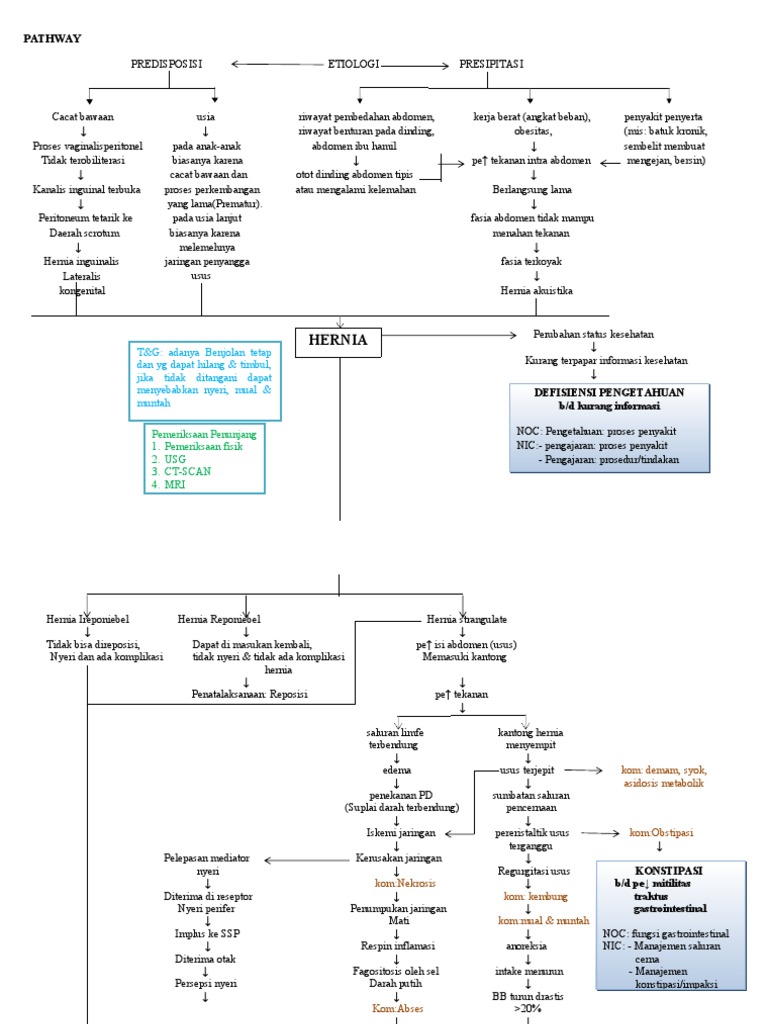 PATHWAY HERNIA INGUINALIS | PDF