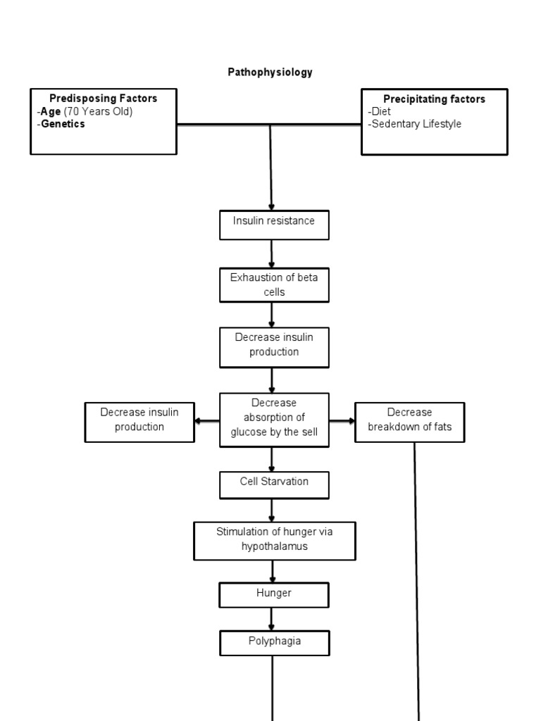 Pathophysiology ACS DIABETEs | PDF | Coronary Artery Disease | Physiology