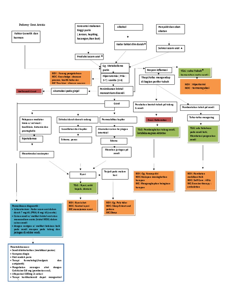 Pathway Gout Artritis Persentasi | PDF