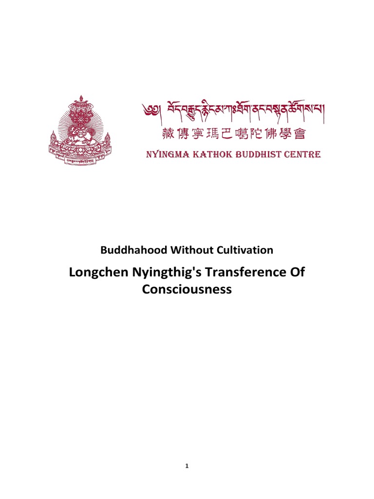 Phowa Practice Guide: Transference of Consciousness | PDF | Indian ...