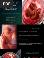 Partograma Oms Imprimir | PDF