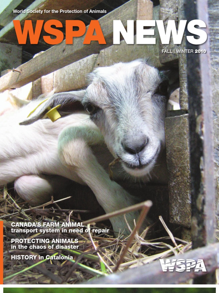 WSPA News - Fall Winter 2010 | PDF | Disaster And Accident | Agriculture