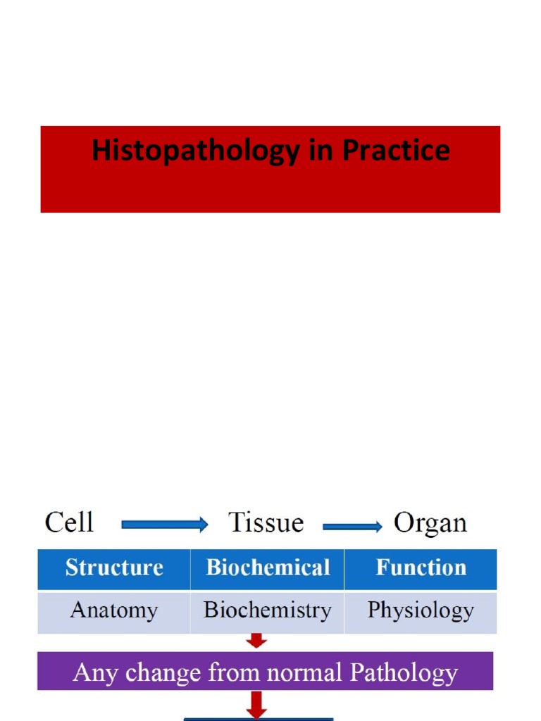 HISTOPATH Introduction PDF | PDF | Histopathology | Histology