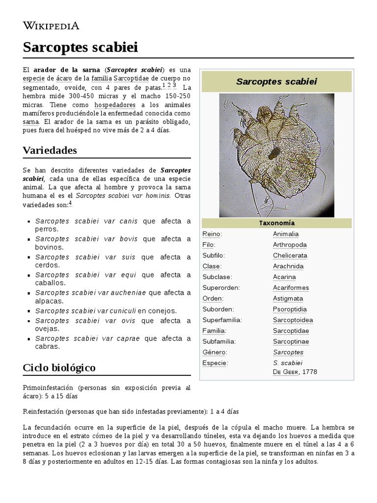 Sarcoptes Scabiei | PDF | Organismos | Enfermedades animales