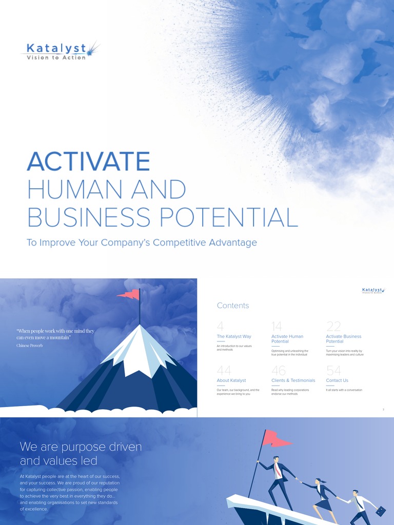 Activate Human and Business Potential: To Improve Your Company's ...
