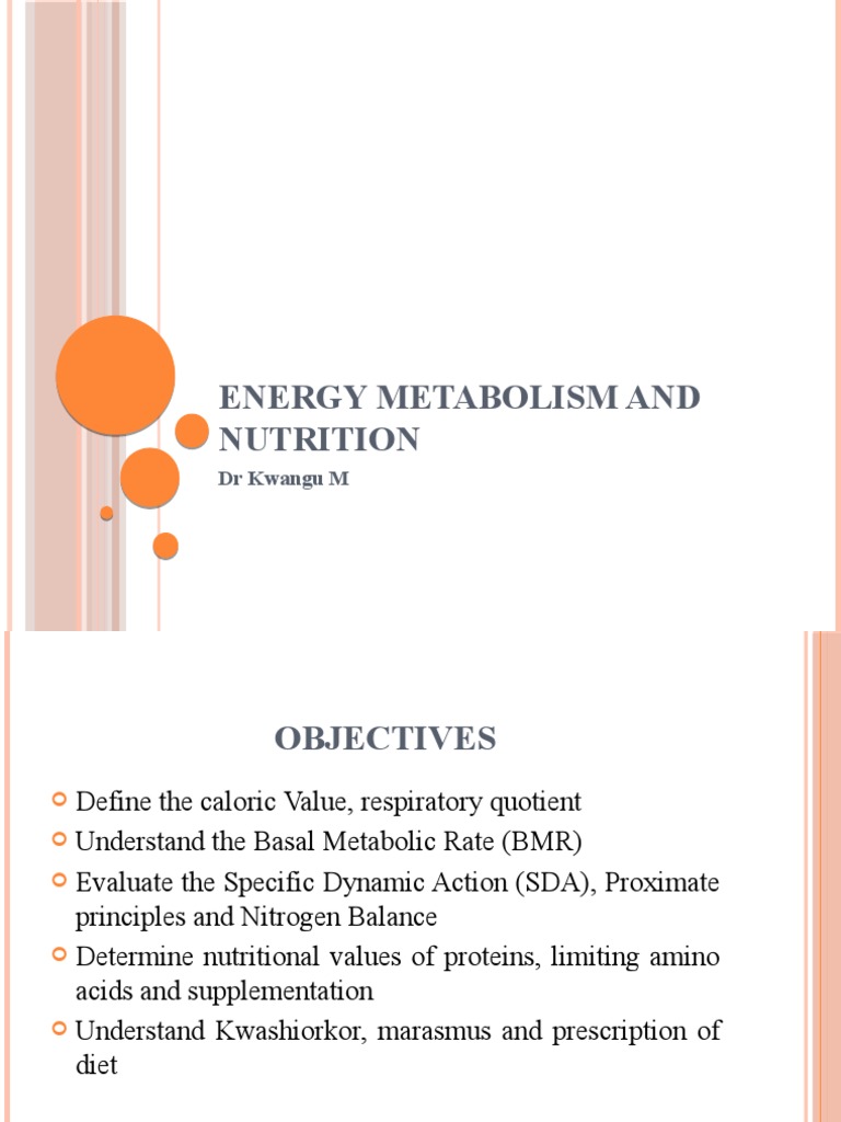 Energy Metabolism and Nutrition | PDF | Cholesterol | Dietary Fiber