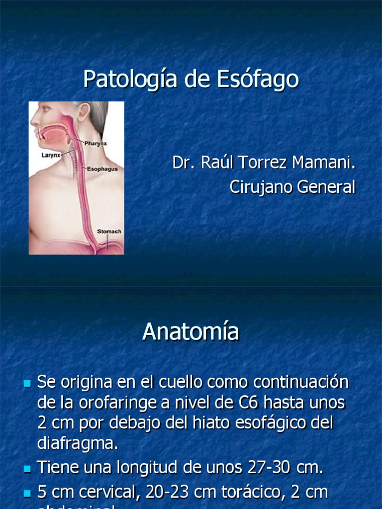Patologia de Esofago | PDF | La enfermedad por reflujo gastroesofágico ...
