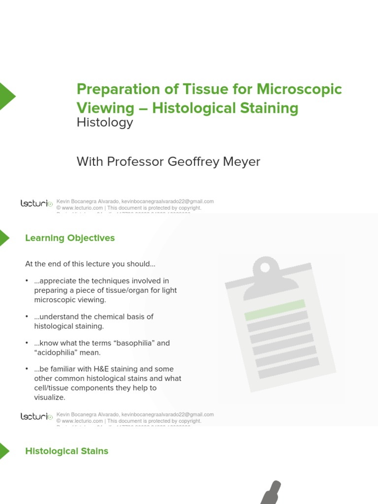 Preparation of Tissue For Microscopic Viewing - Histological Staining ...