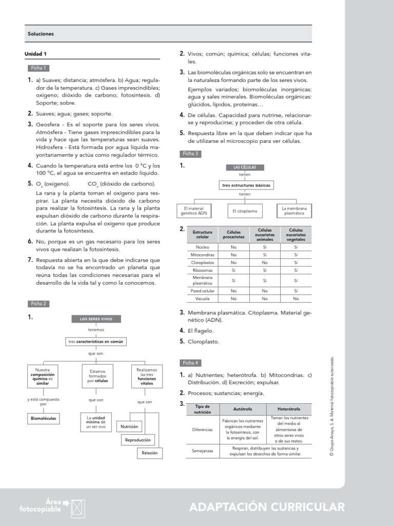 Adaptacion - Curricular - 1eso - Bioygeo - Soluciones-Unidad 1-ANAYA | PDF | Biología Celular ...