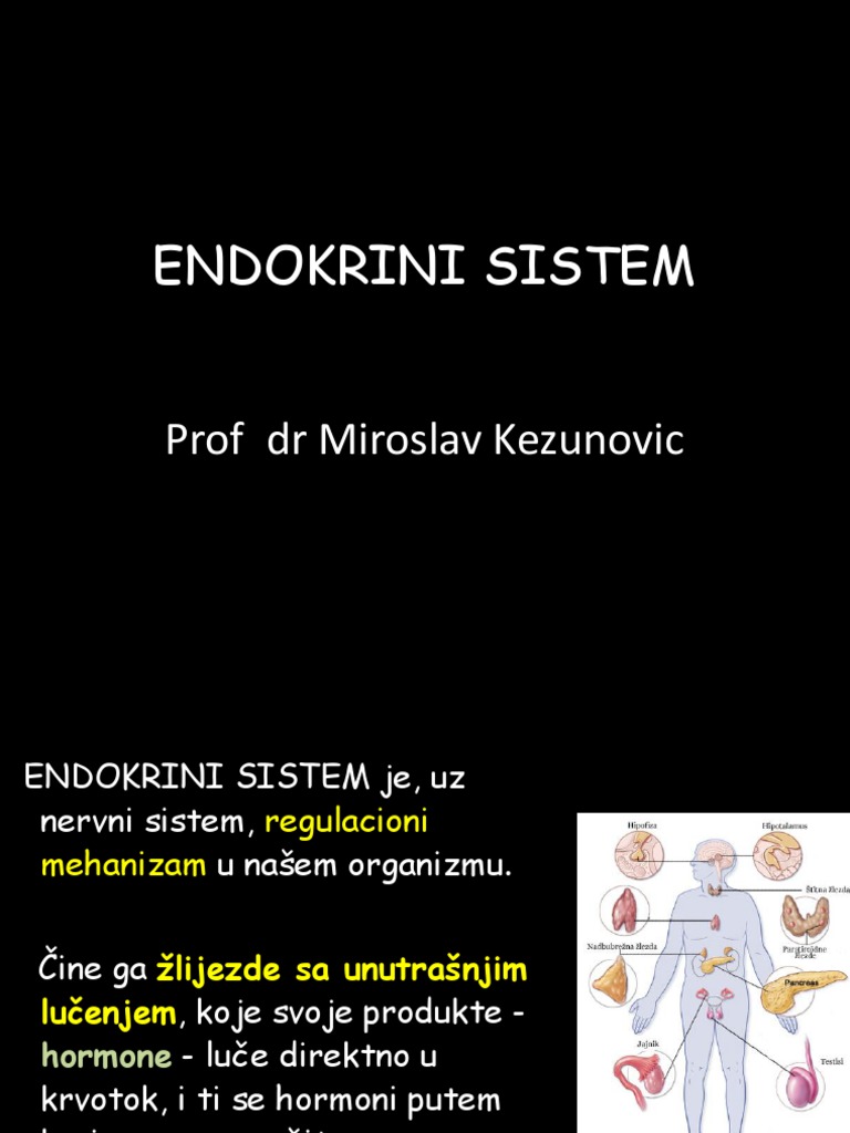 Endokrini Sistem PDF | PDF