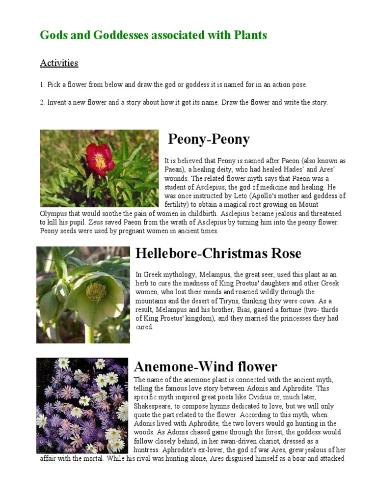 Peony-Peony: Gods and Goddesses Associated With Plants | PDF | Apollo ...