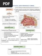 (Anatomía) Triángulos de Pirogoff y Béclard | PDF | Medicina CLINICA ...